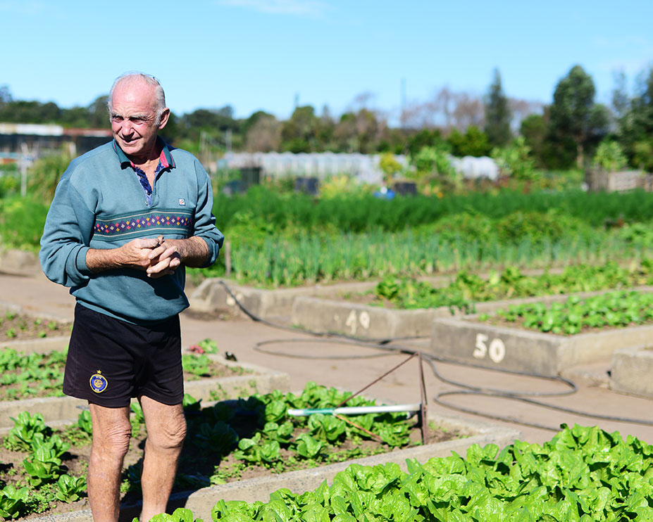 Small-Scale Organic Farming - Wholefoods House | Organic Food Sydney Small-Scale Organic Farming - Wholefoods House | Organic Food Sydney
